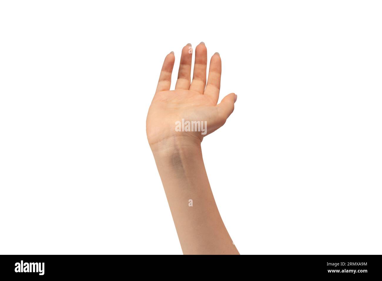 Woman hand isolated on a white background Stock Photo - Alamy
