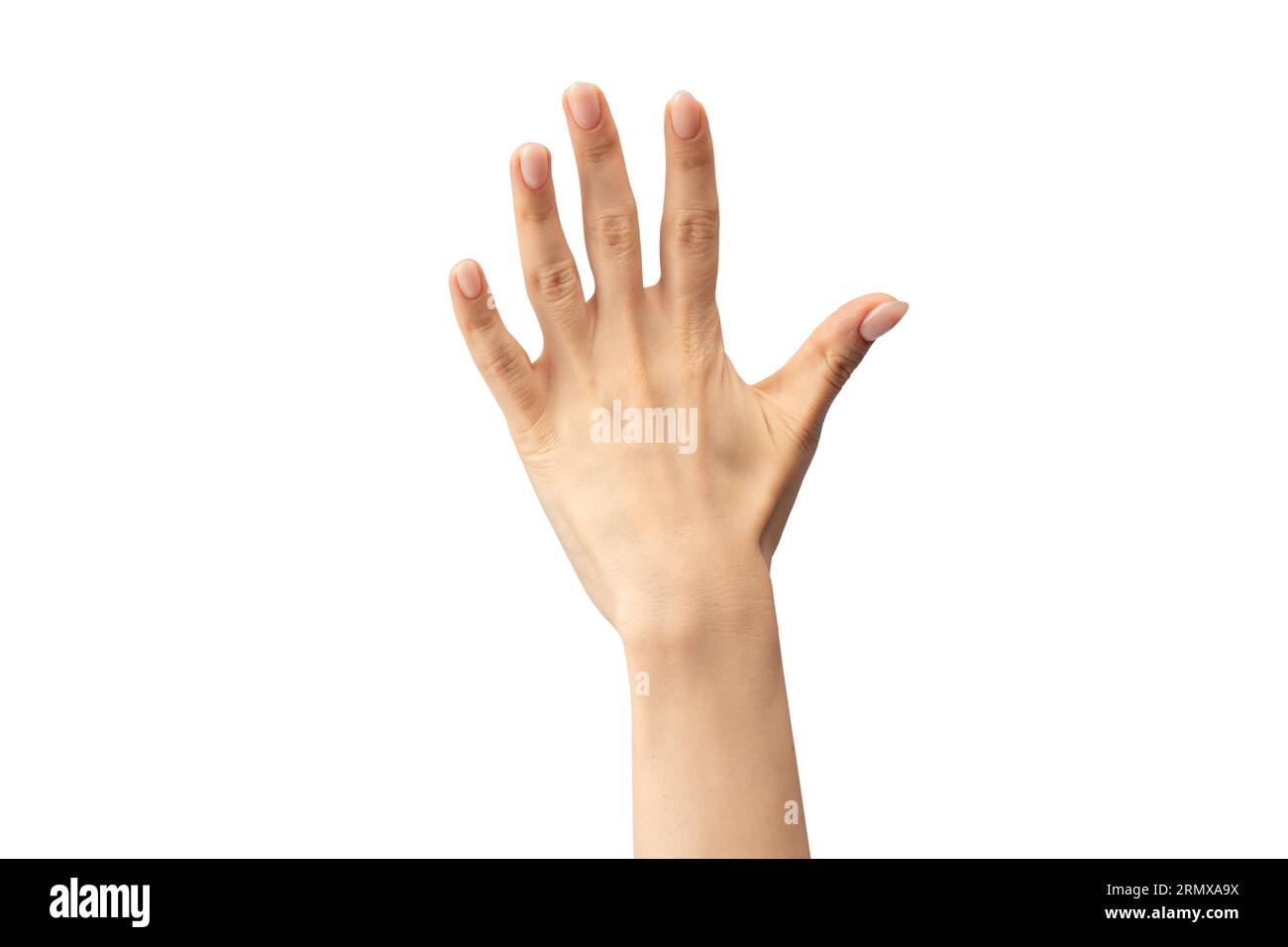 Woman hand isolated on a white background Stock Photo - Alamy
