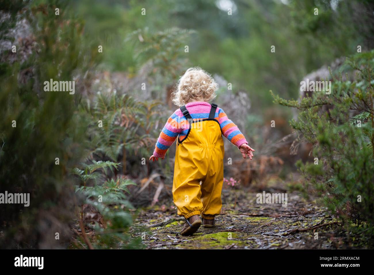 toddler exploring in the forest in the trees in australia in yellow ...