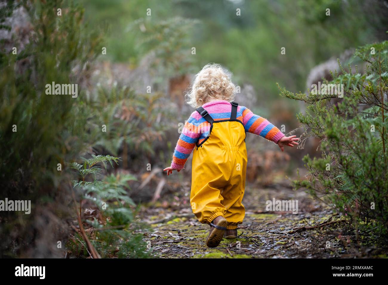 toddler exploring in the forest in the trees in australia in yellow ...