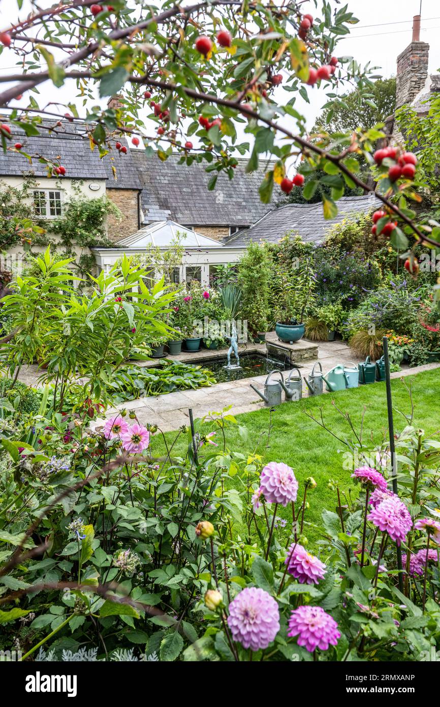 Cherry tree and dahlias in secluded garden of 18th century Georgian ...