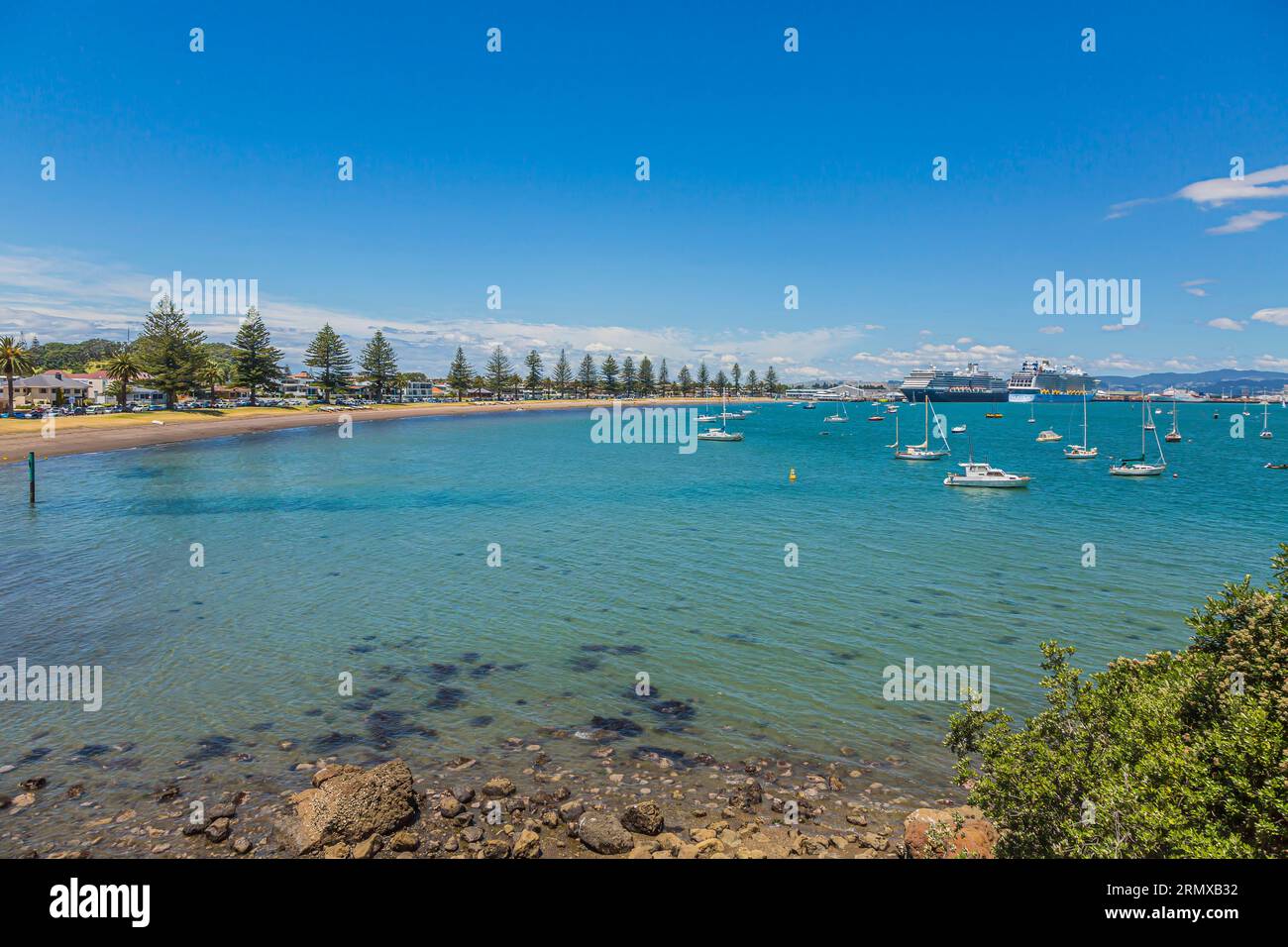 View on harbor and cruise ship terminal of Tauranga city on northern ...
