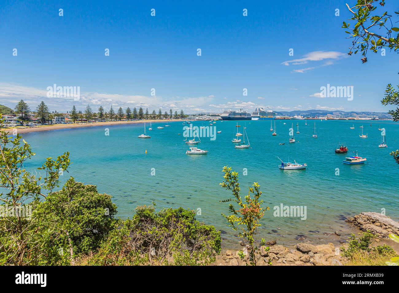 View on harbor and cruise ship terminal of Tauranga city on northern ...