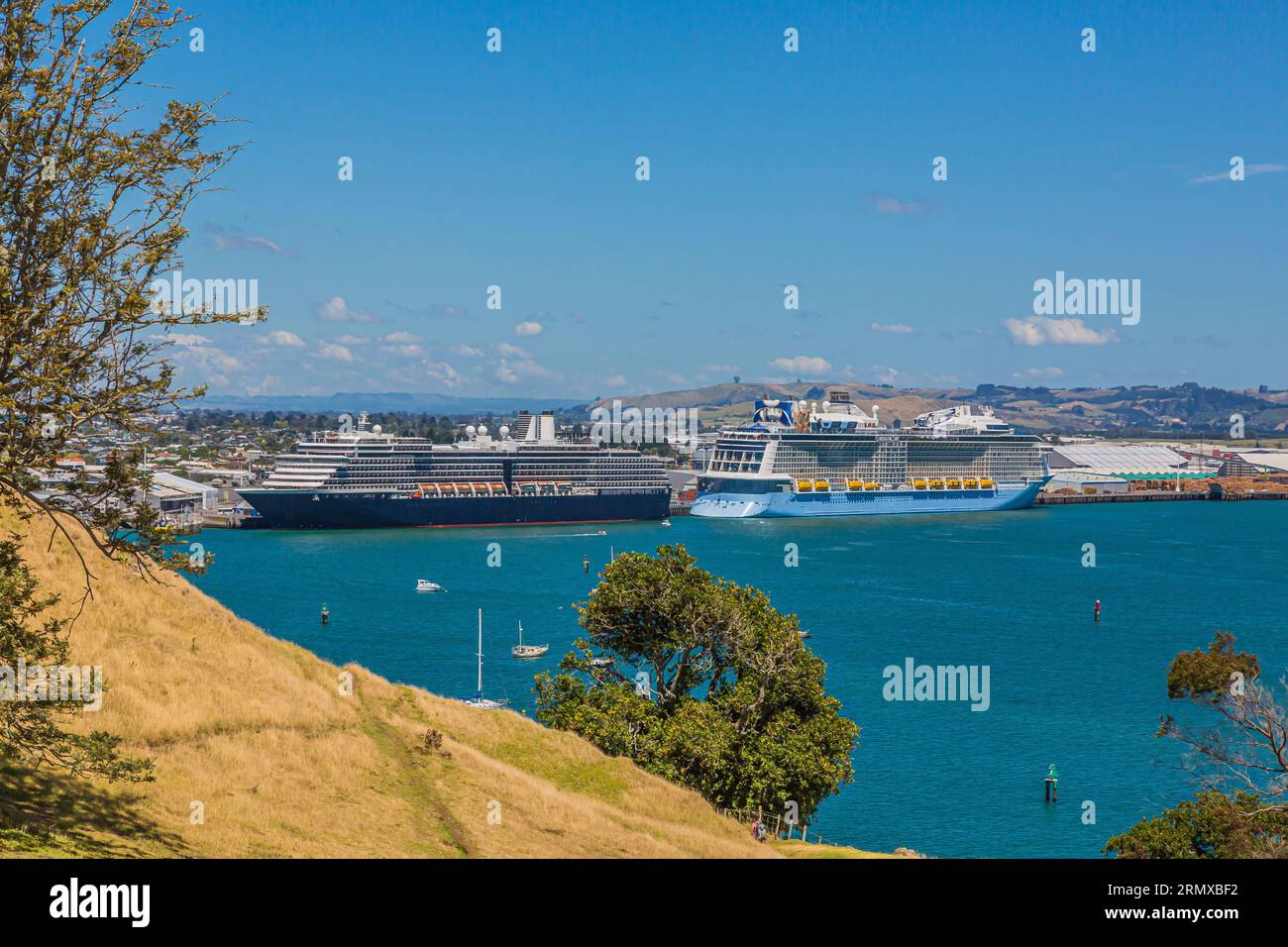 View on harbor and cruise ship terminal of Tauranga city on northern ...