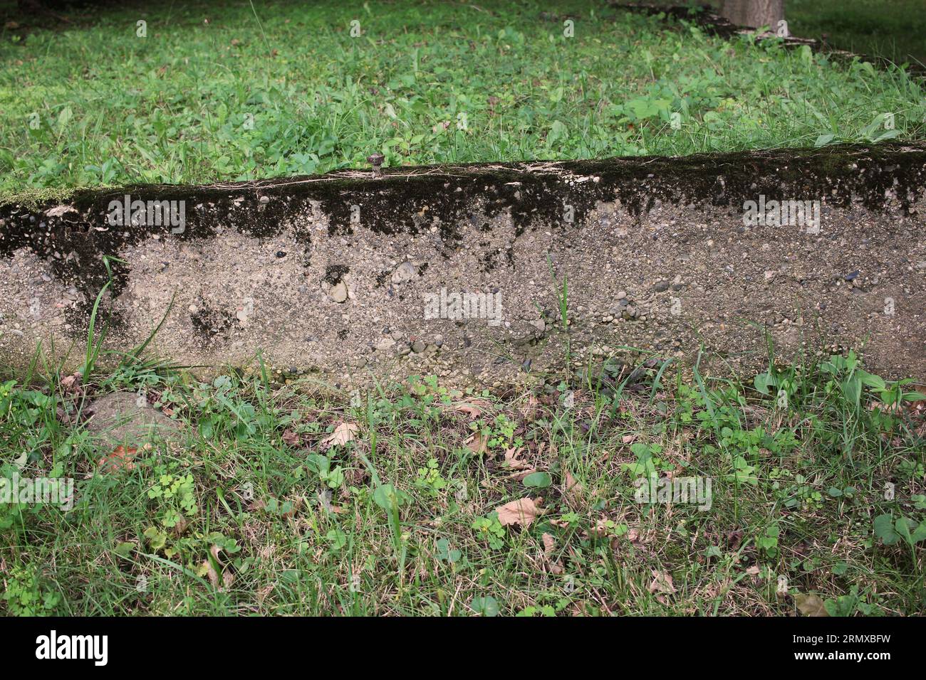 Old abandoned concrete slab foundation of a long gone building and home ...
