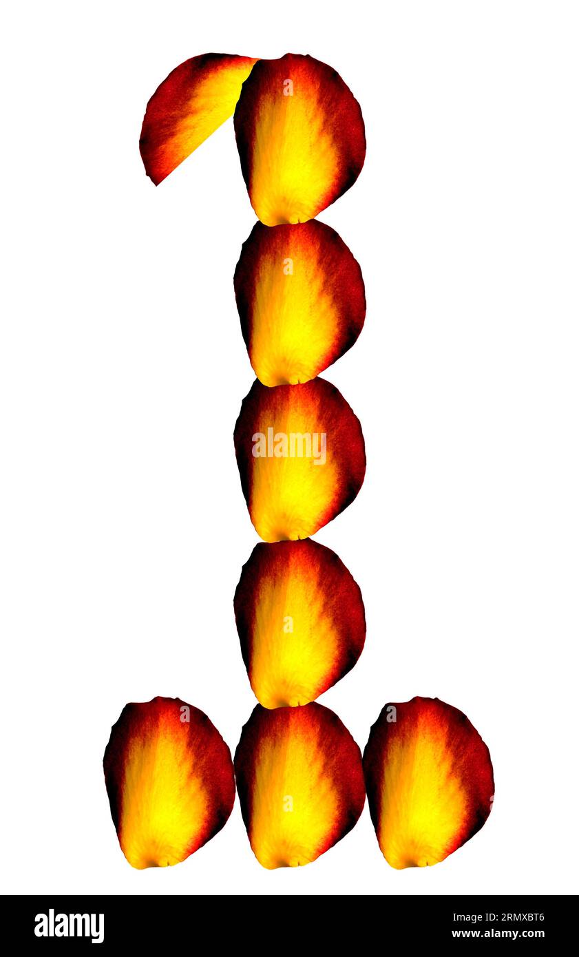 Colorful number 1 handcrafted using sweet heart rose petals. Give ...