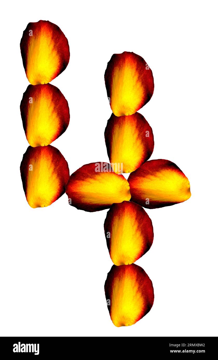 Colorful number 4 handcrafted using sweet heart rose petals. Give ...