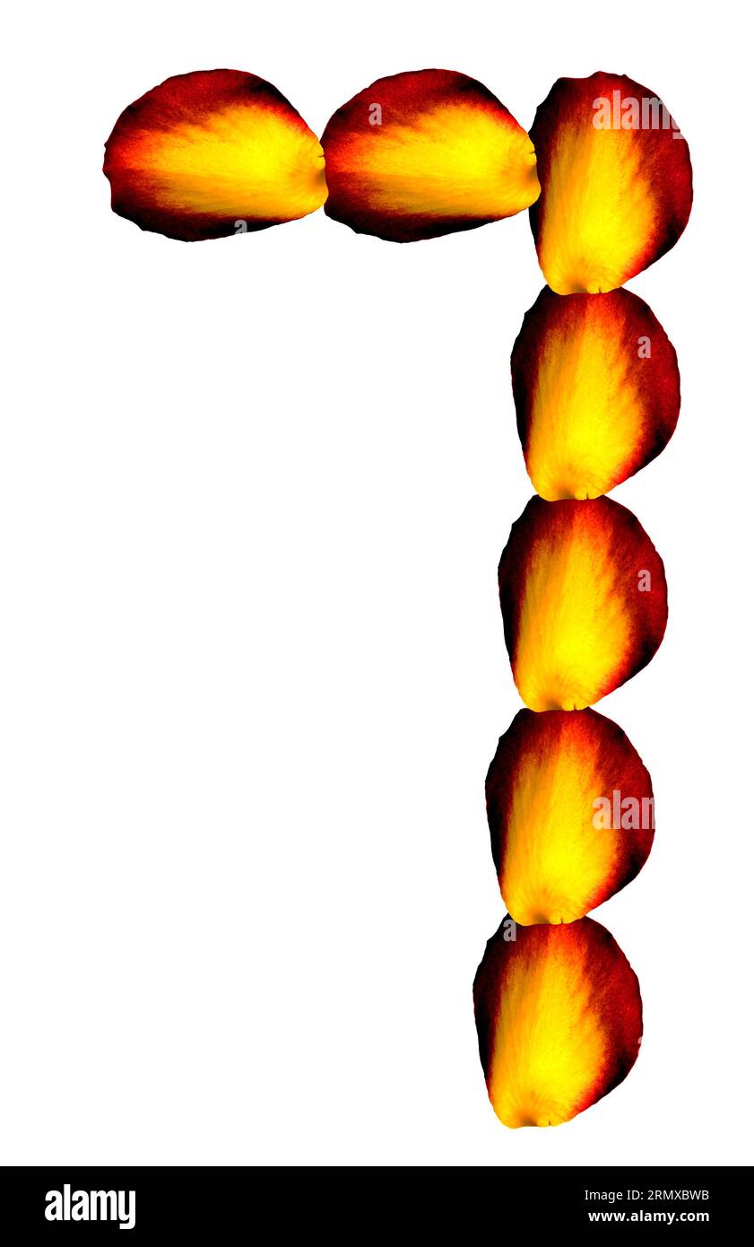 Colorful letter 7 handcrafted using sweet heart rose petals. Give ...