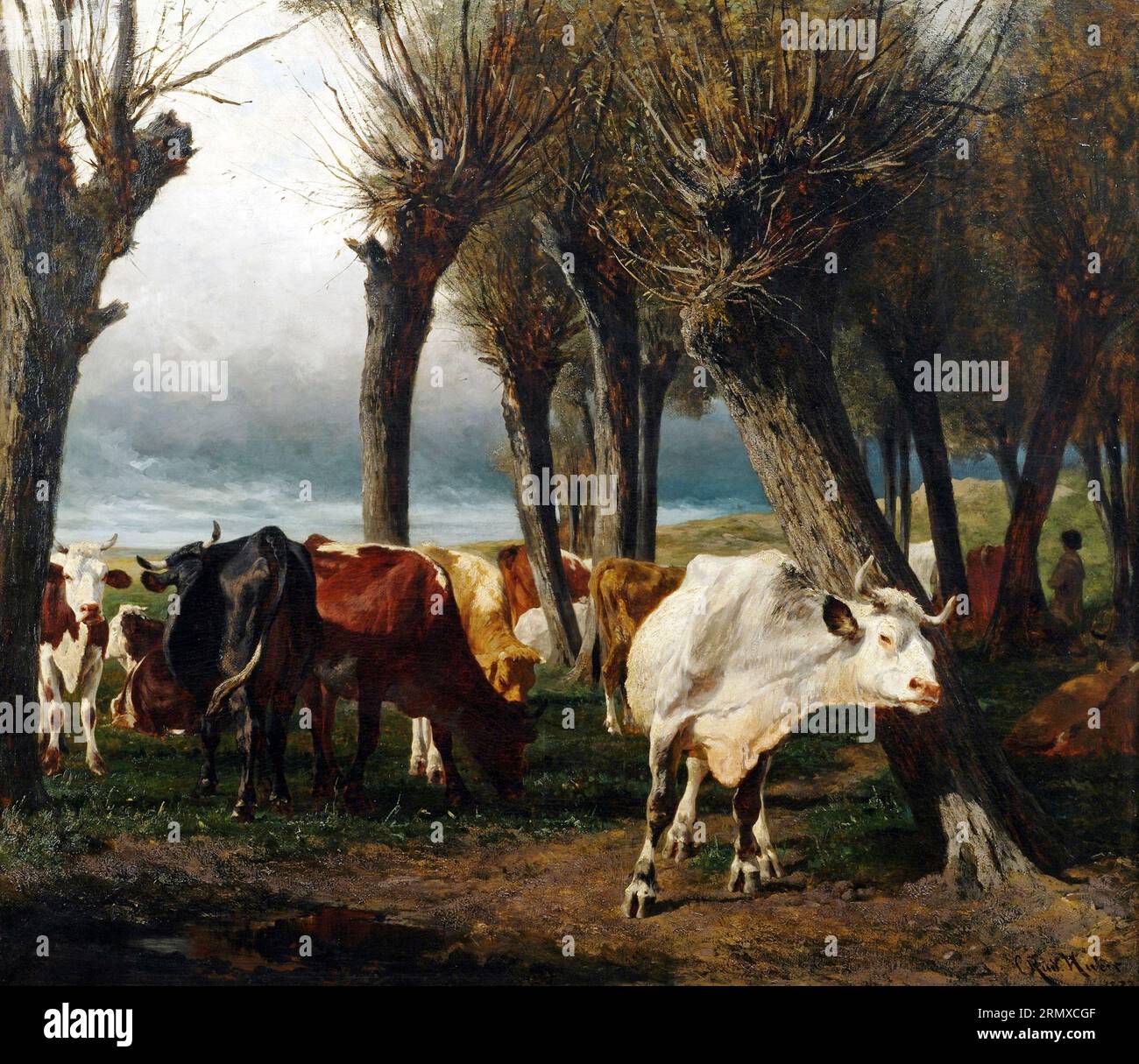 Rinderherde unter Kopfweiden. 1873 by Carl Rudolf Huber Stock Photo - Alamy