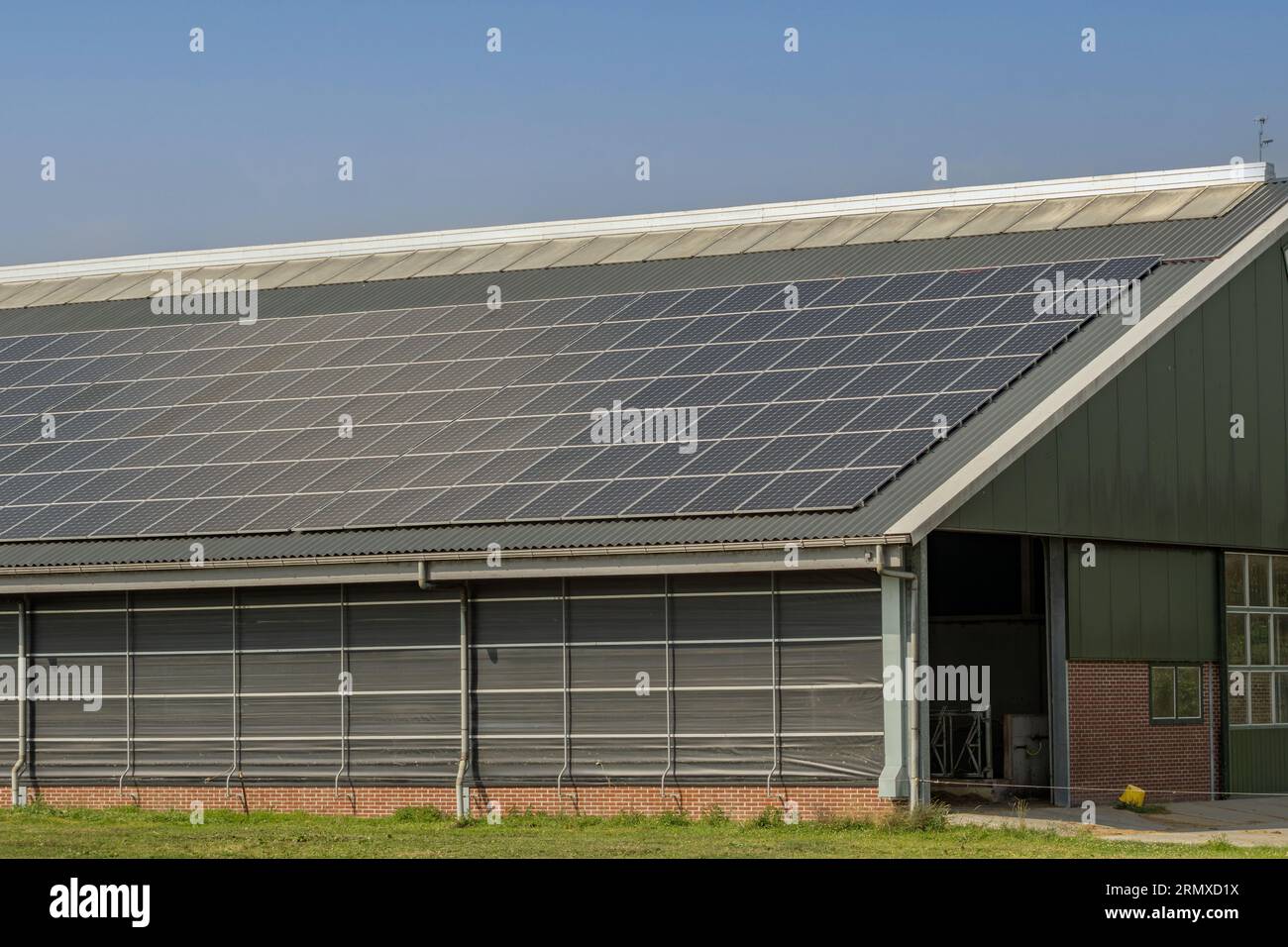 cattle shed with solar roof Stock Photo - Alamy