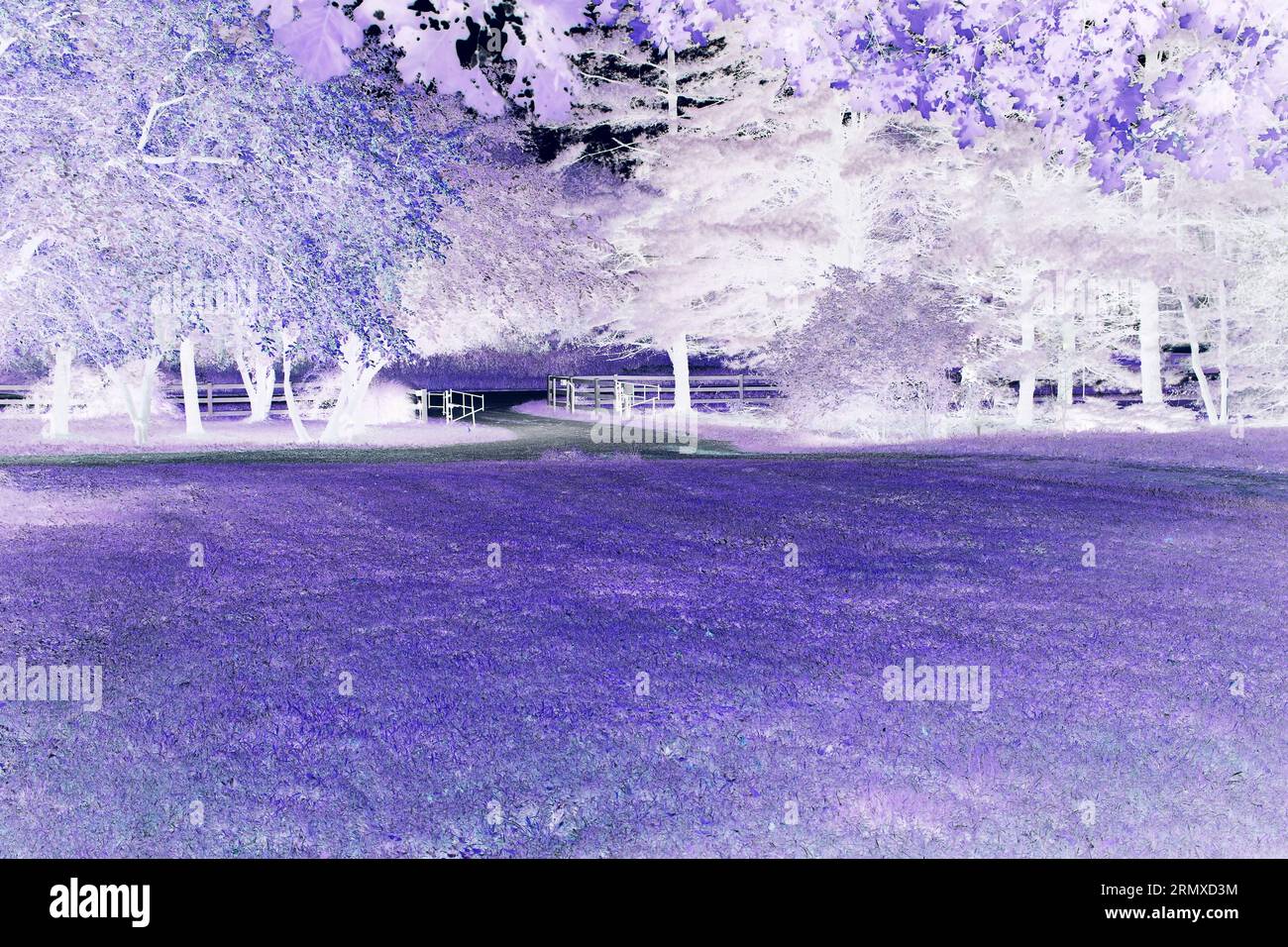 A typical gate on a country estate in a bright purple color film ...
