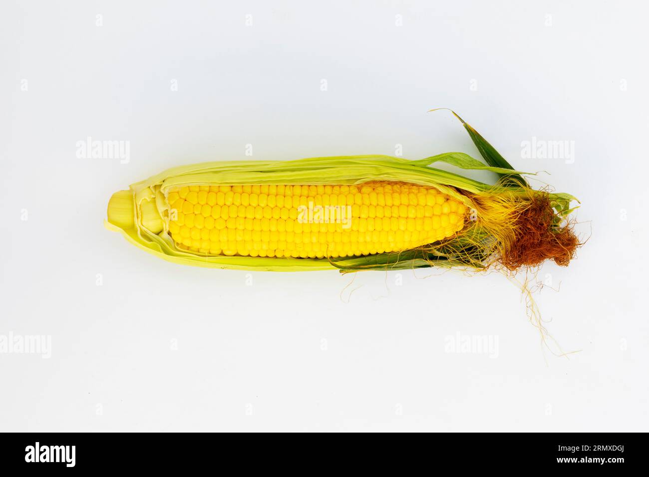 Single ear of corn isolated on white background as package design ...