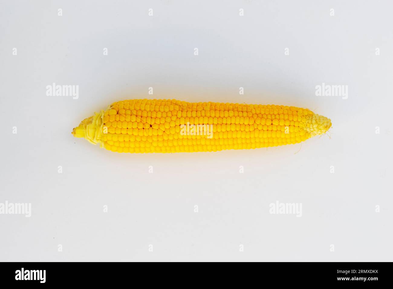 Single ear of corn isolated on white background as package design ...