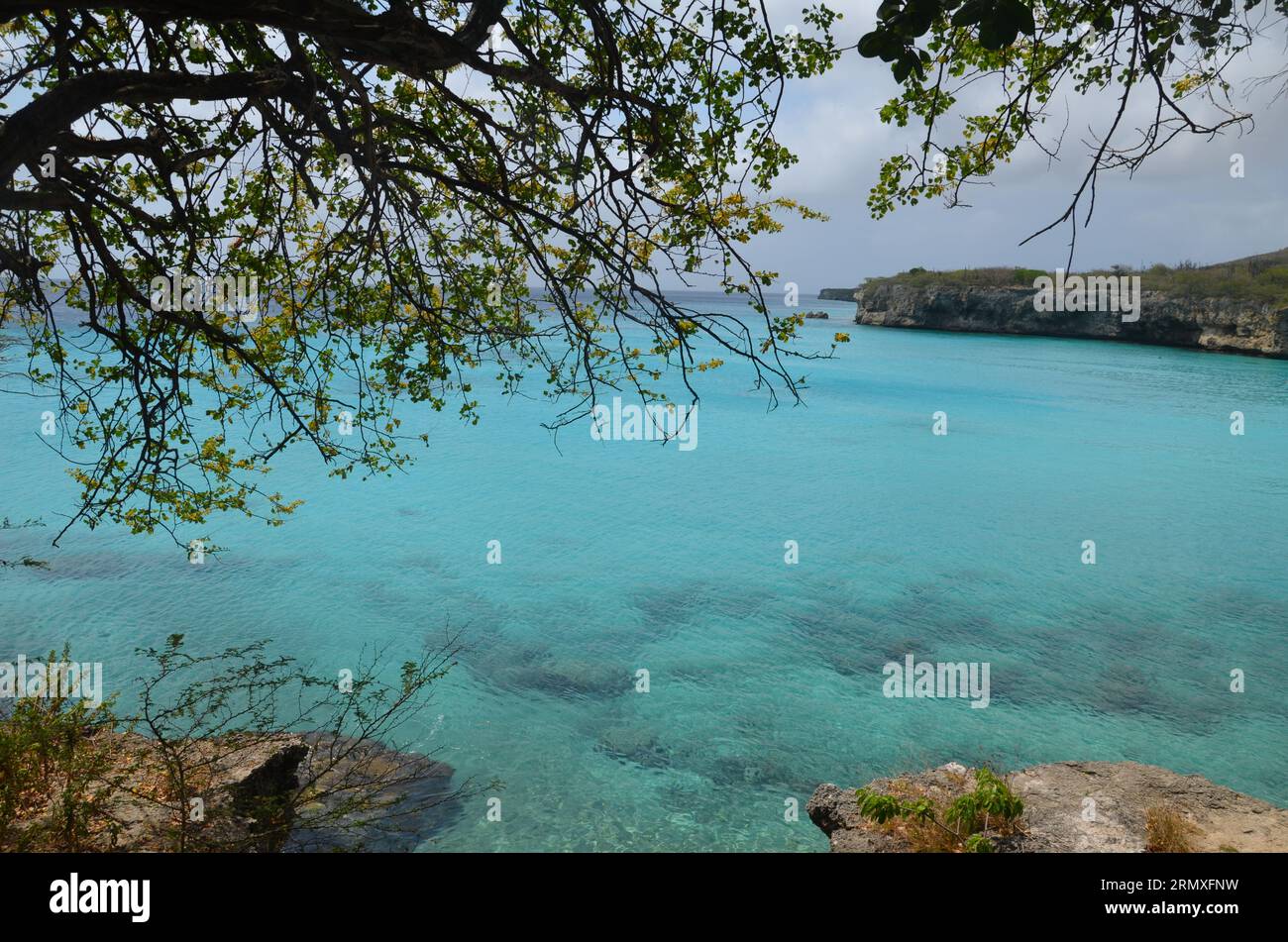 landscape with plants, rocks and the wonderful turquoise water of the ...
