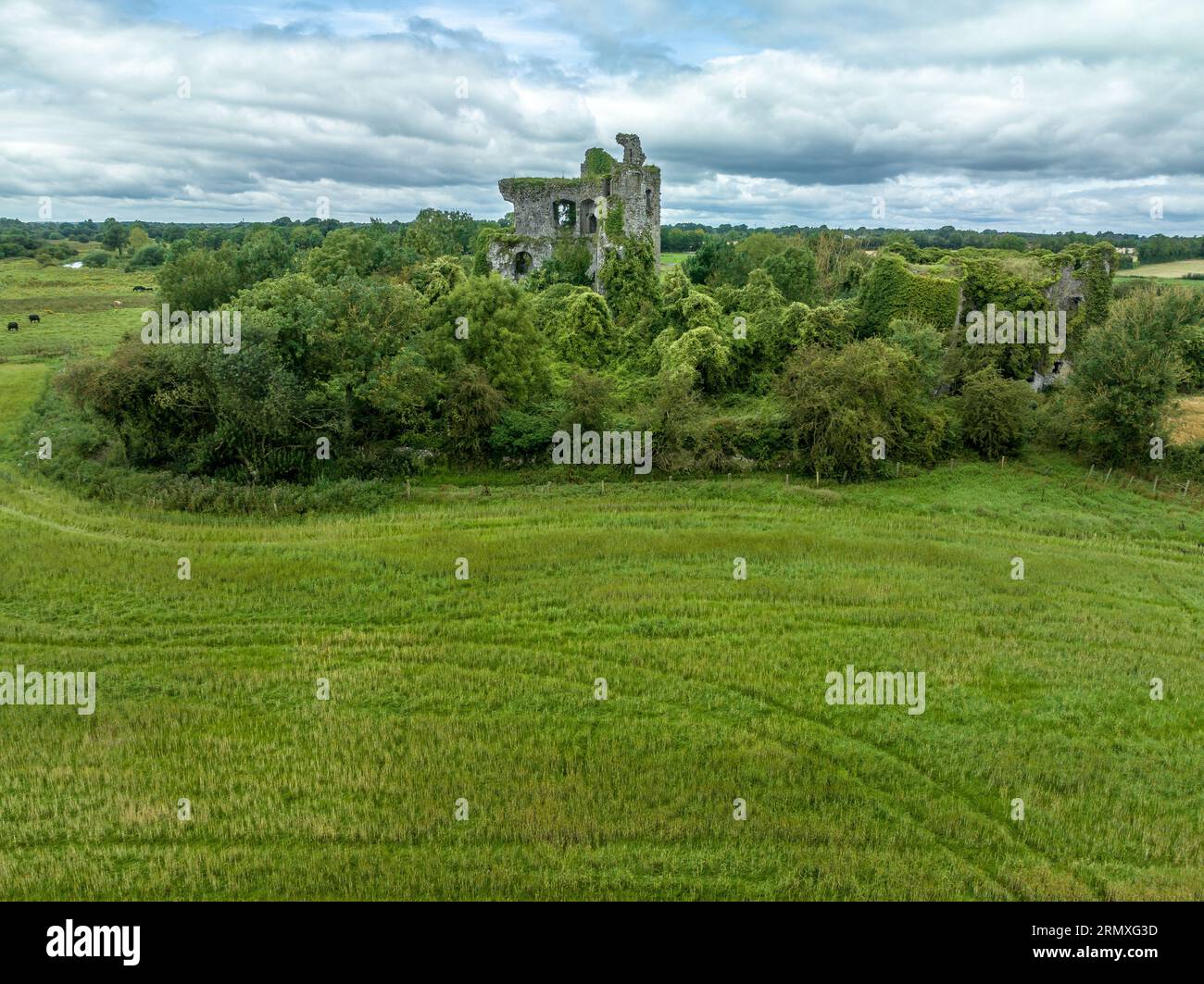 Aerial view of Lea Castle ruined medieval castle of the FitzGerald ...
