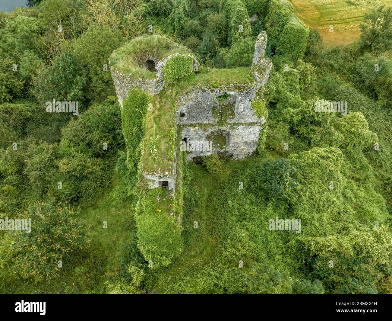 Aerial view of Lea Castle ruined medieval castle of the FitzGerald ...
