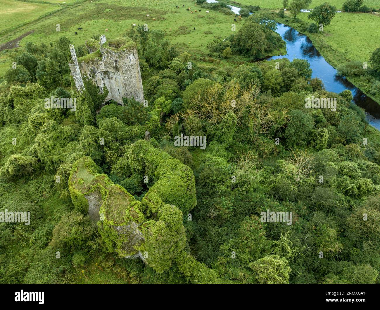 Aerial view of Lea Castle ruined medieval castle of the FitzGerald ...