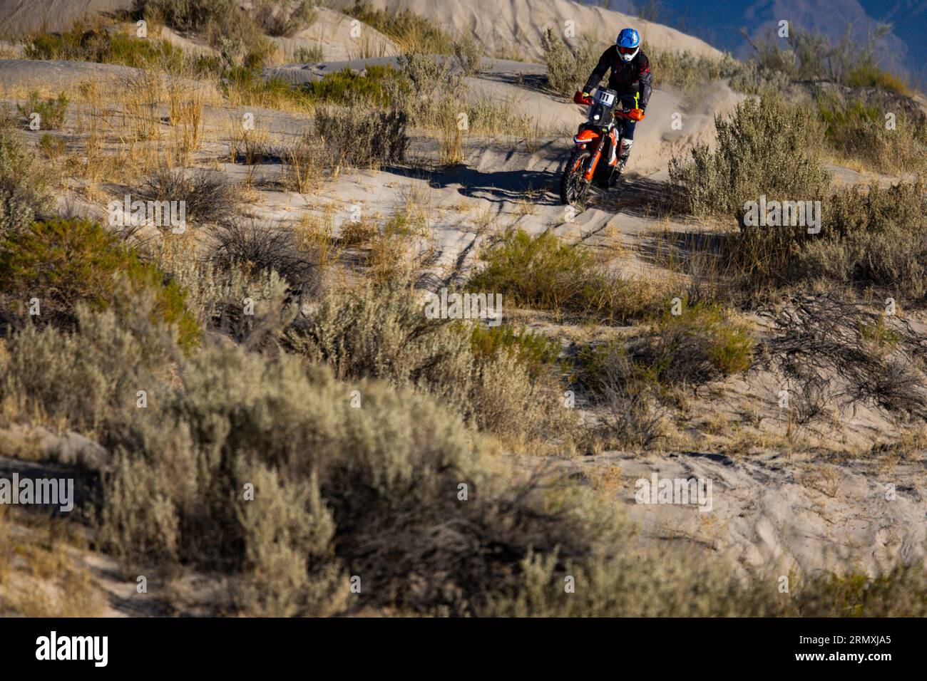Belén, Argentina - 30/08/2023, 111 DOCHERTY Michael (zaf), BAS World KTM Racing Team, KTM 450 ...