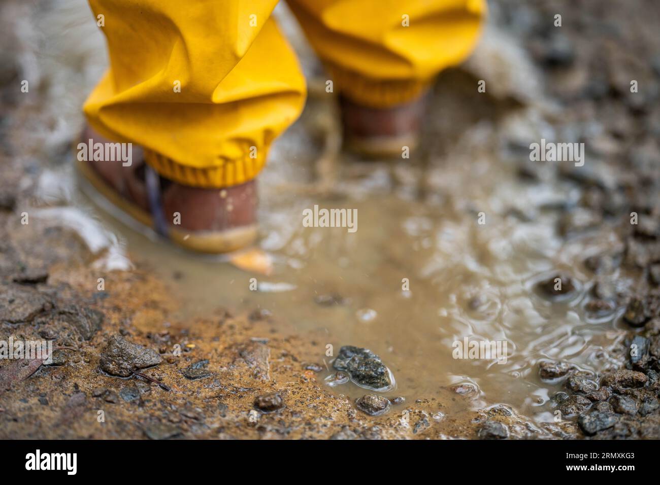 baby in puddle in a park in the bush Stock Photo - Alamy