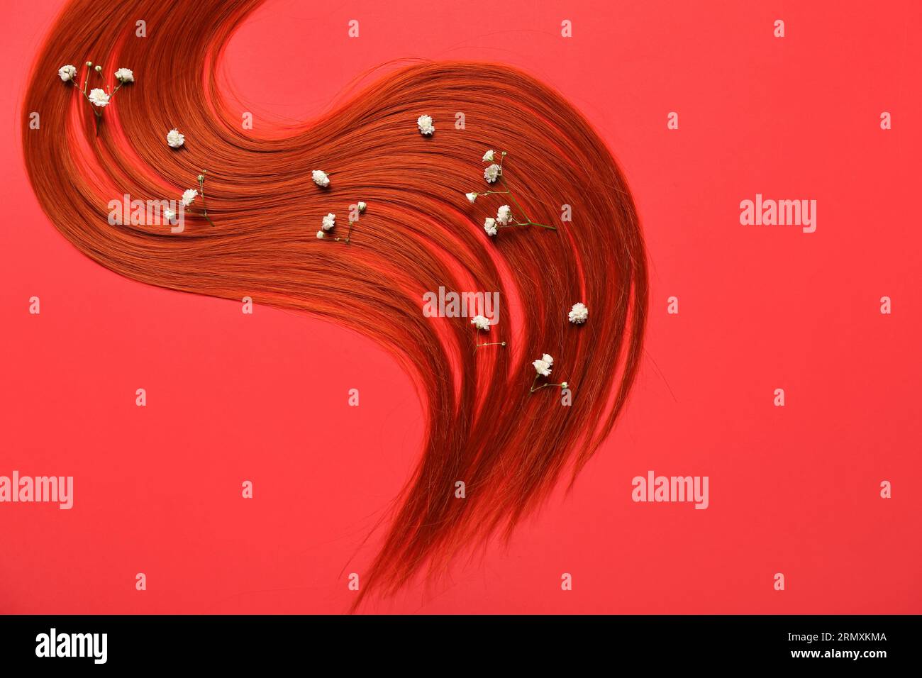 Composition with red hair strand and flowers on red background, closeup ...
