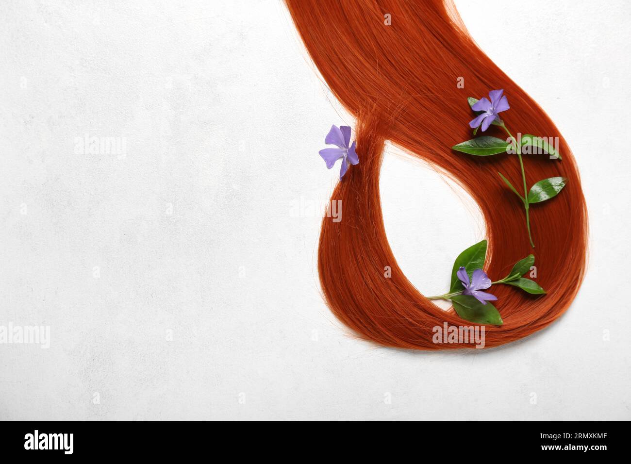 Periwinkle wig hi-res stock photography and images - Alamy