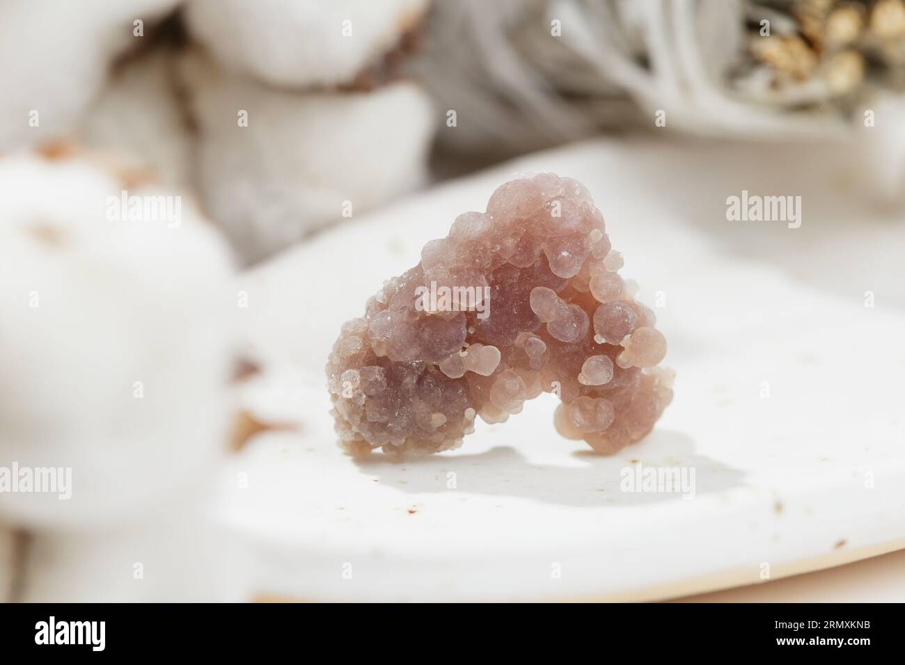 Purple Grape Agate Chalcedony on a White Tray. Mineral Gemstone ...