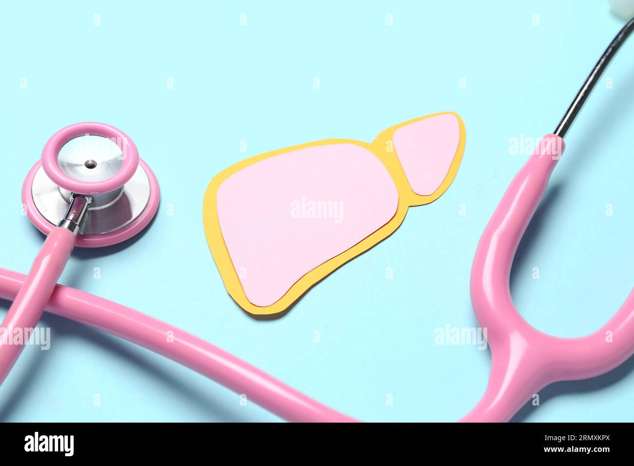 Pink paper liver with stethoscope on blue background Stock Photo - Alamy