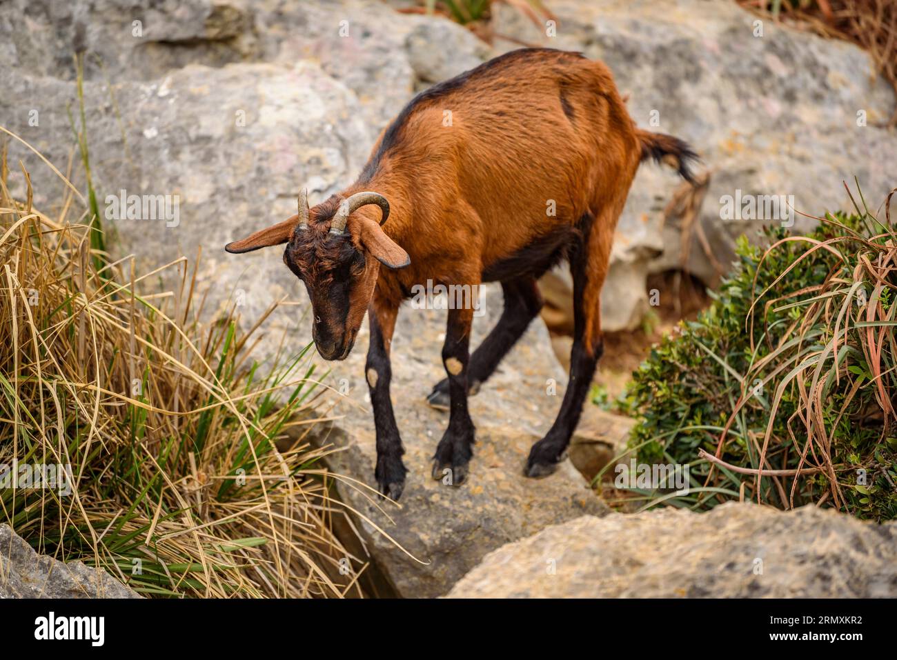 Islas de una roca hi-res stock photography and images - Alamy