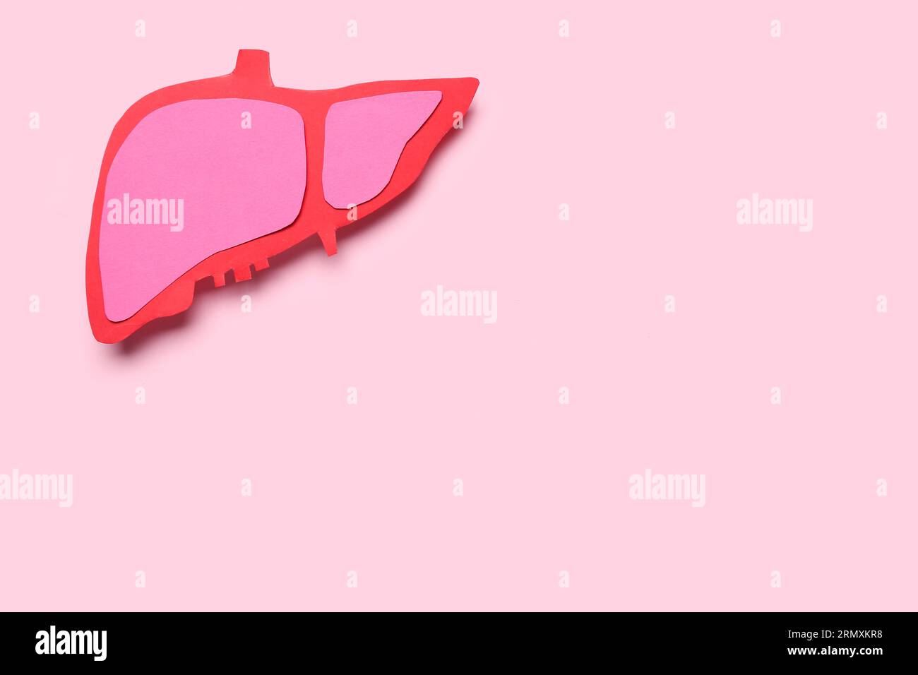 Paper liver on pink background Stock Photo - Alamy