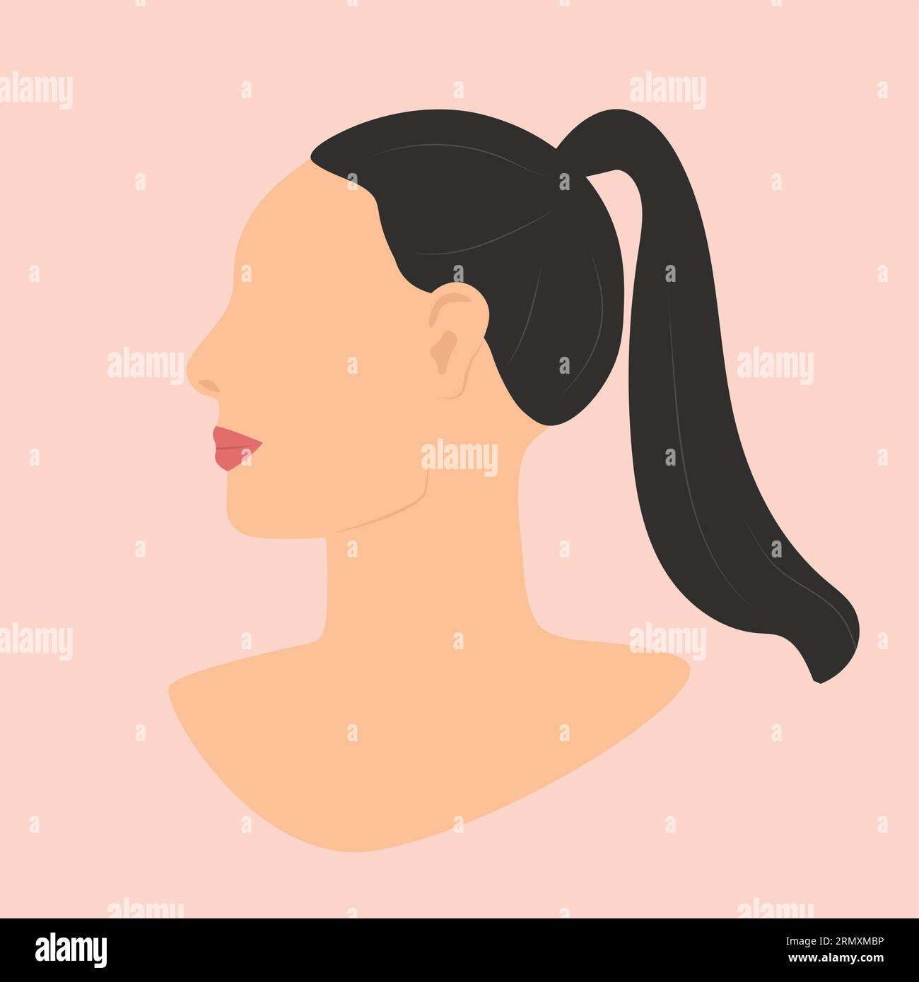 profile of a beautiful woman with a ponytail -vector illustration Stock ...