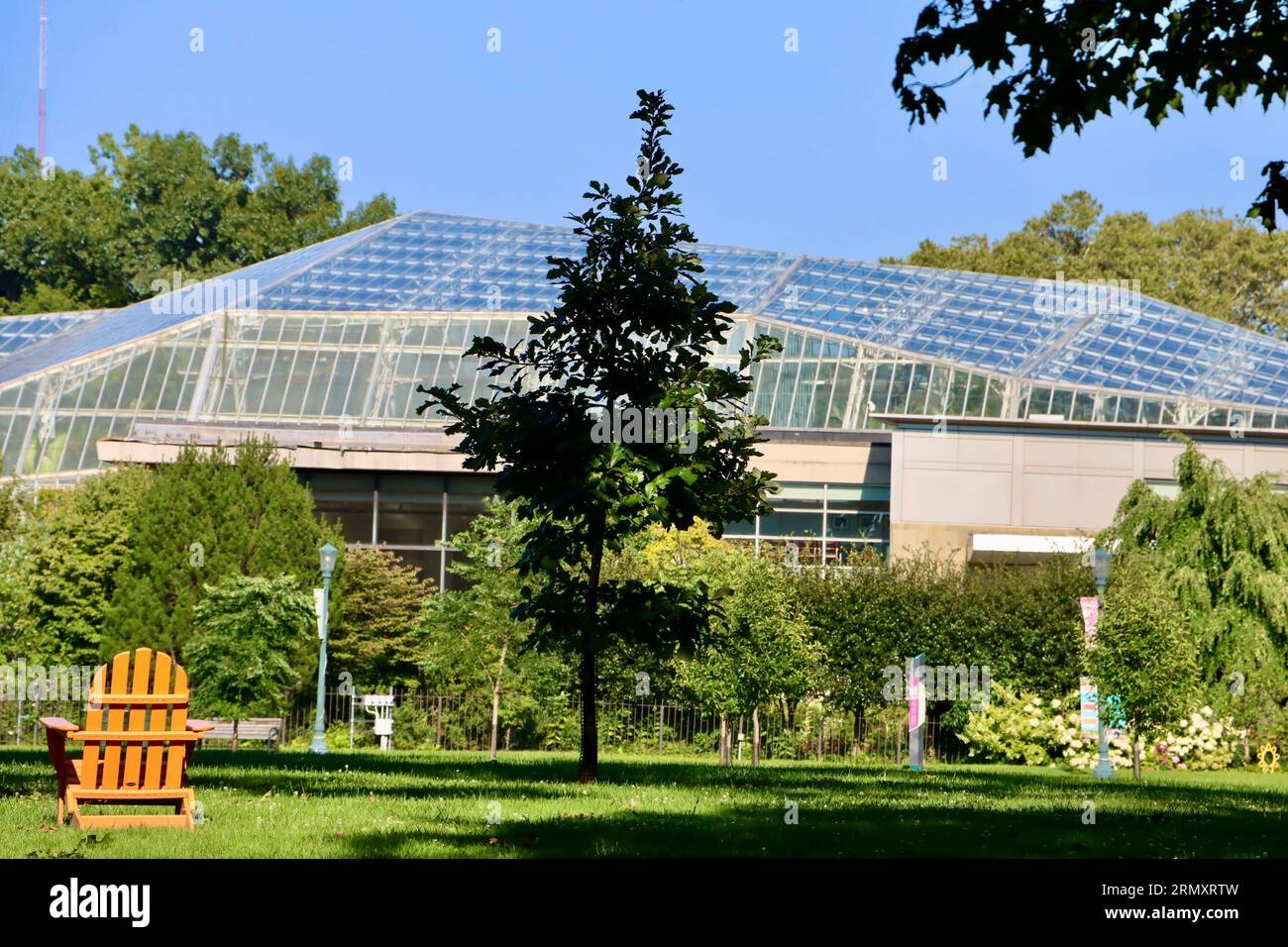 Yellow Adirondack chair on Wade Oval with Eleanor Armstrong Smith ...