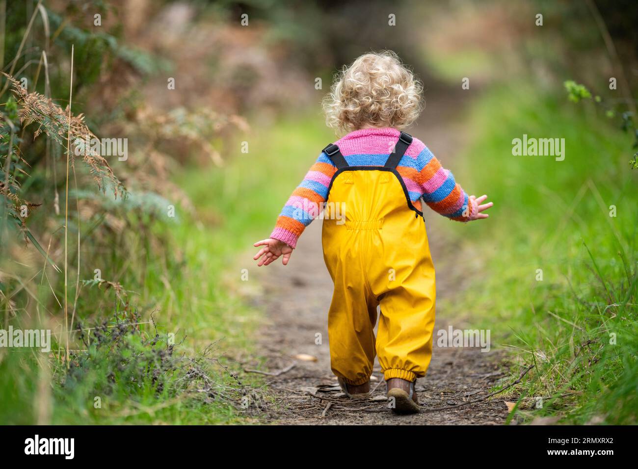 toddler walking on a hike in a park in australia Stock Photo - Alamy
