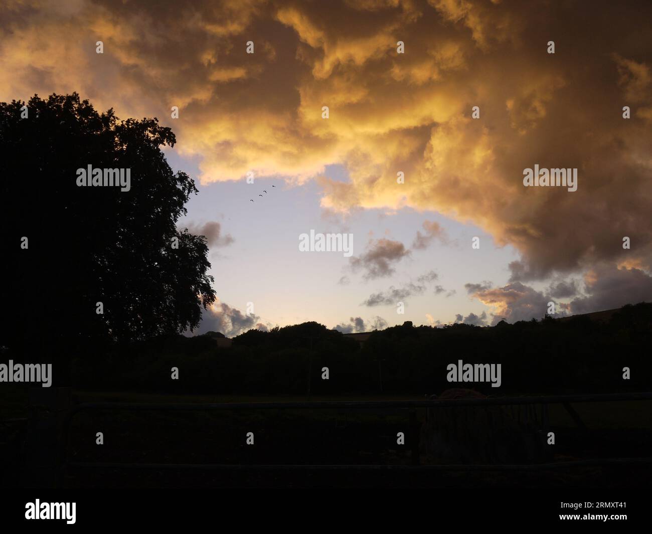 Egloskerry hi-res stock photography and images - Alamy