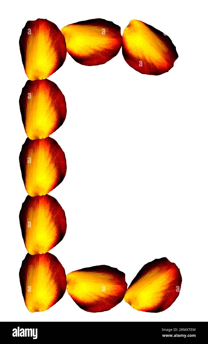 Colorful letter C handcrafted using sweet heart rose petals. Give ...