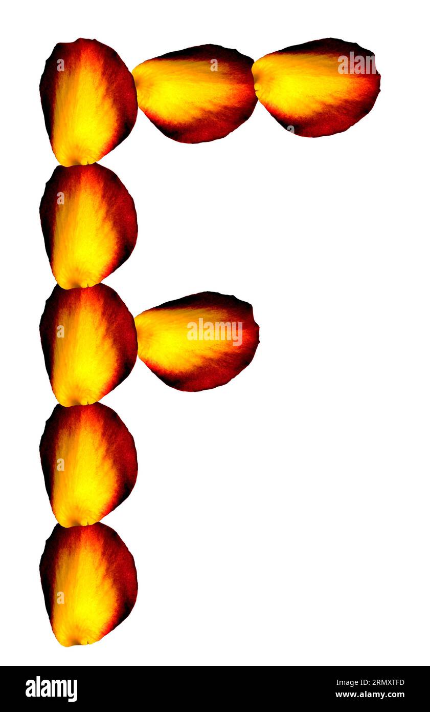 Colorful letter F handcrafted using sweet heart rose petals. Give ...