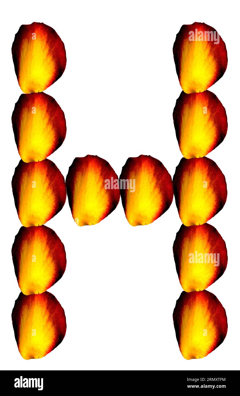 Colorful letter H handcrafted using sweet heart rose petals. Give ...