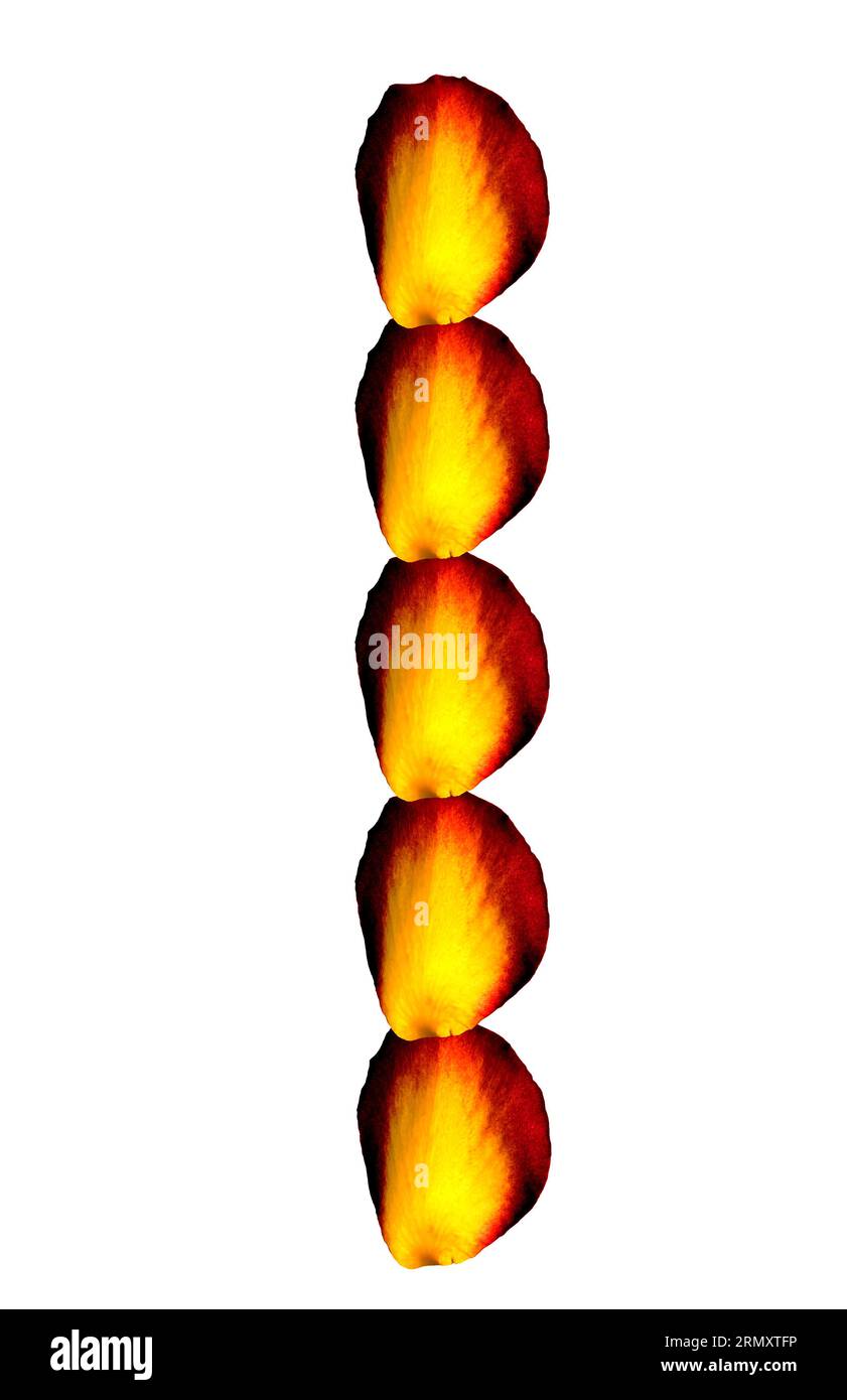 Colorful letter I handcrafted using sweet heart rose petals. Give ...