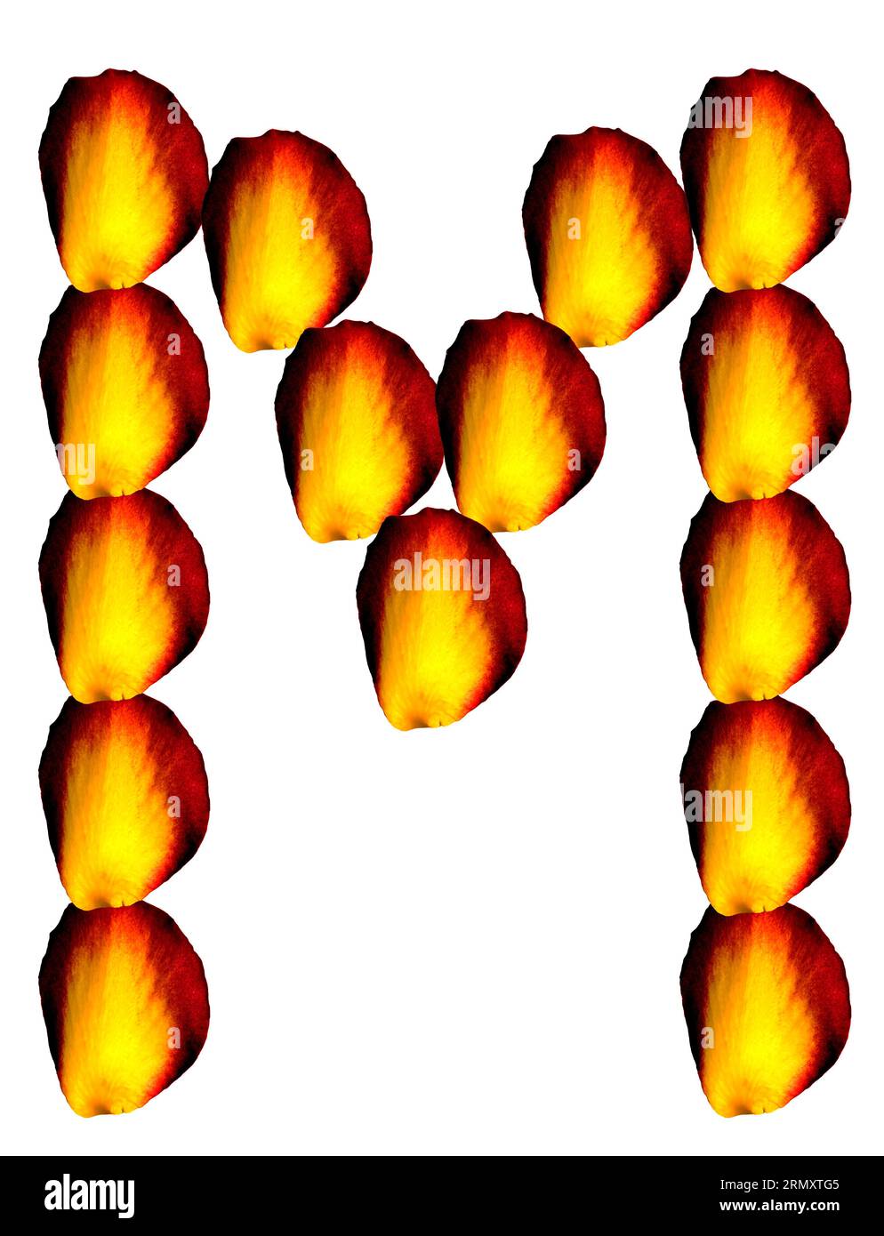 Colorful letter M handcrafted using sweet heart rose petals. Give ...