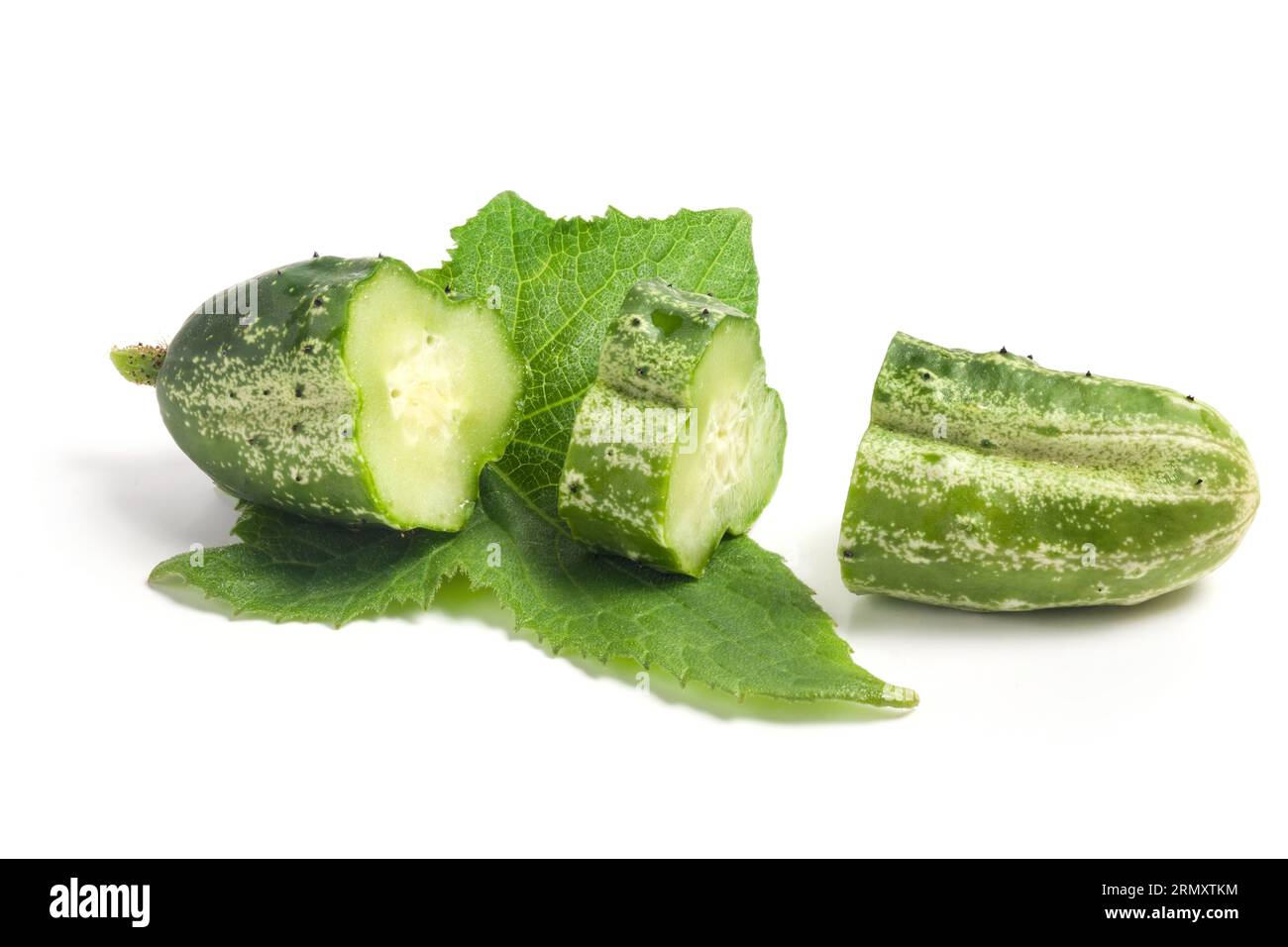Closeup young white cucumber hi-res stock photography and images - Alamy