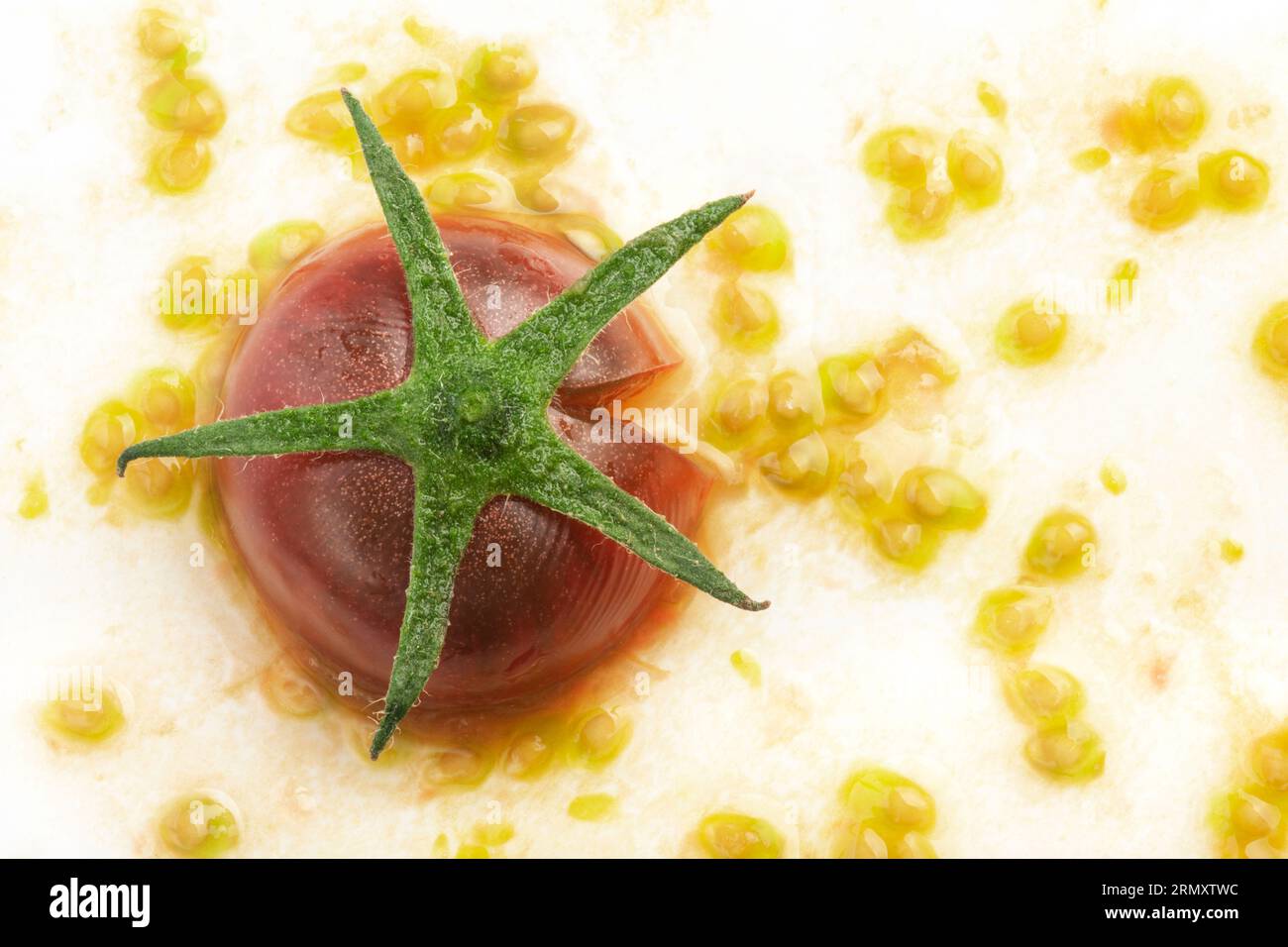 Spoiled tomatoes hi-res stock photography and images - Alamy