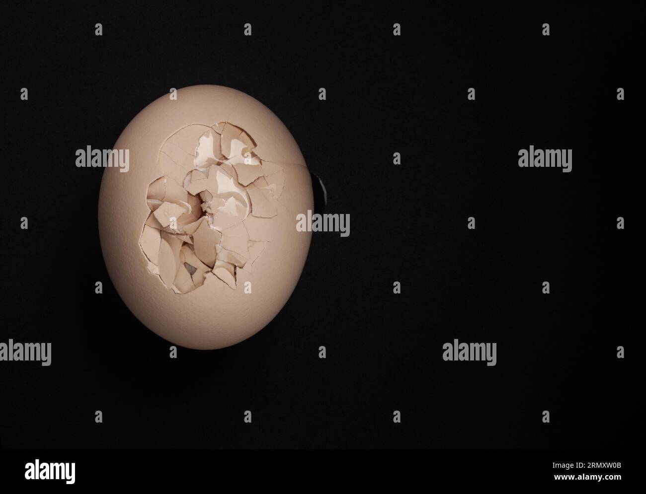 Broken egg shells black bird hi-res stock photography and images - Alamy