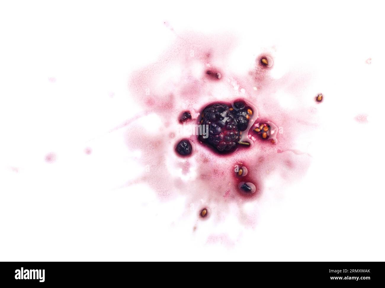 Smashed Mulberry isolated on white background Stock Photo - Alamy