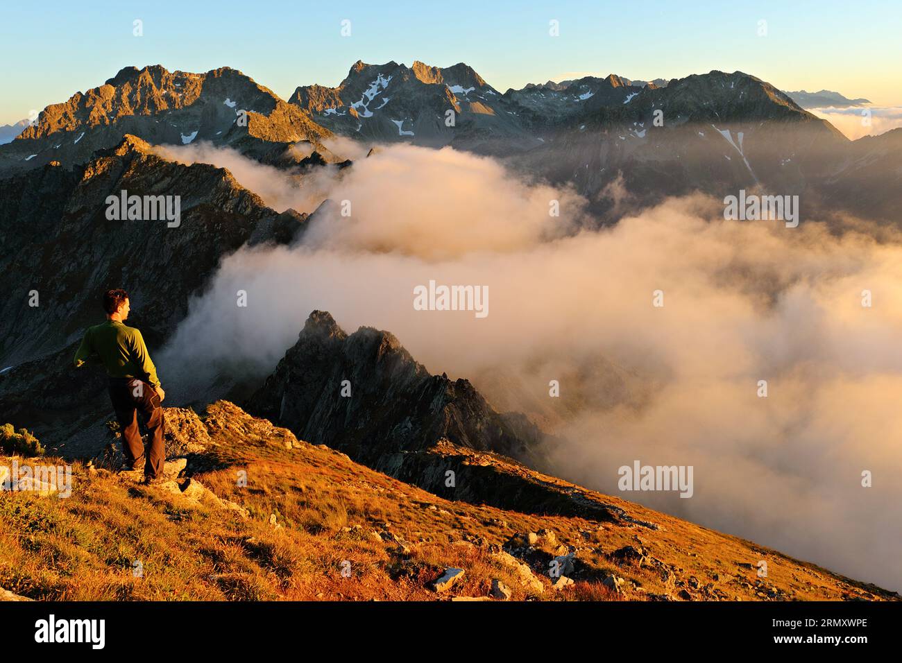 Grand frene hi-res stock photography and images - Alamy
