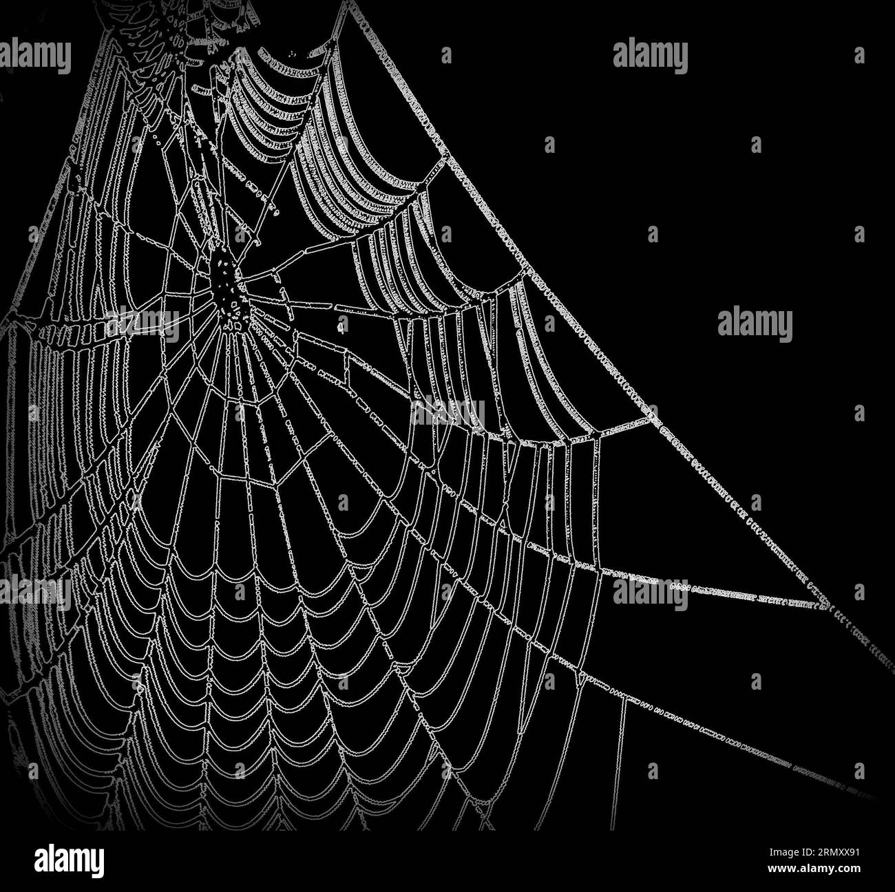 A black and white image of a delicate spider web with a black ...