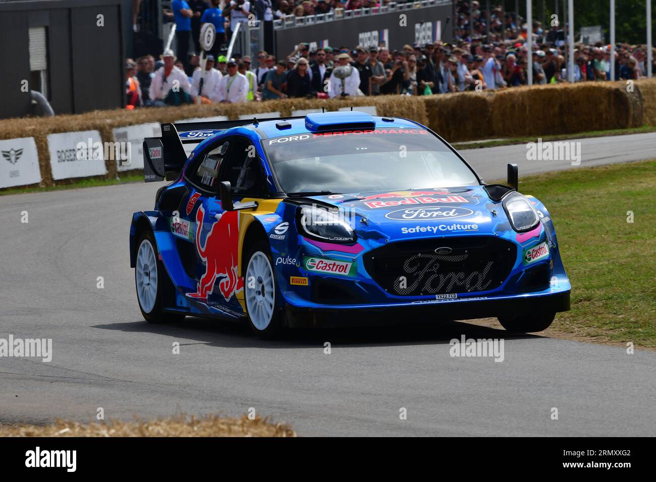 Malcolm Wilson, Ott Tanak, Ford Puma WRC, 50 Years of WRC, World Rally Championship, A selection ...