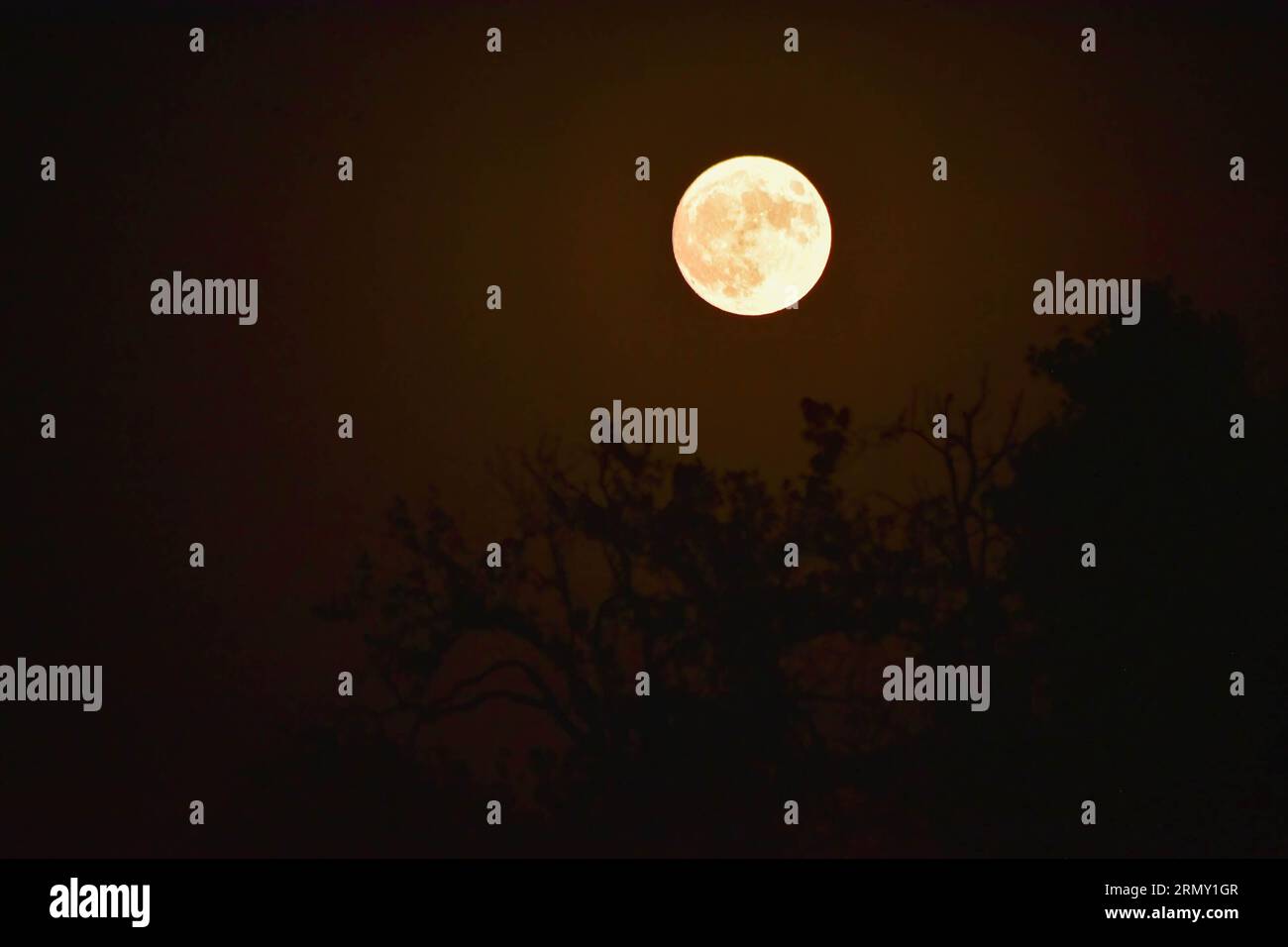 Srinagar, India. 30th Aug, 2023. The super Blue Moon rises in Srinagar ...
