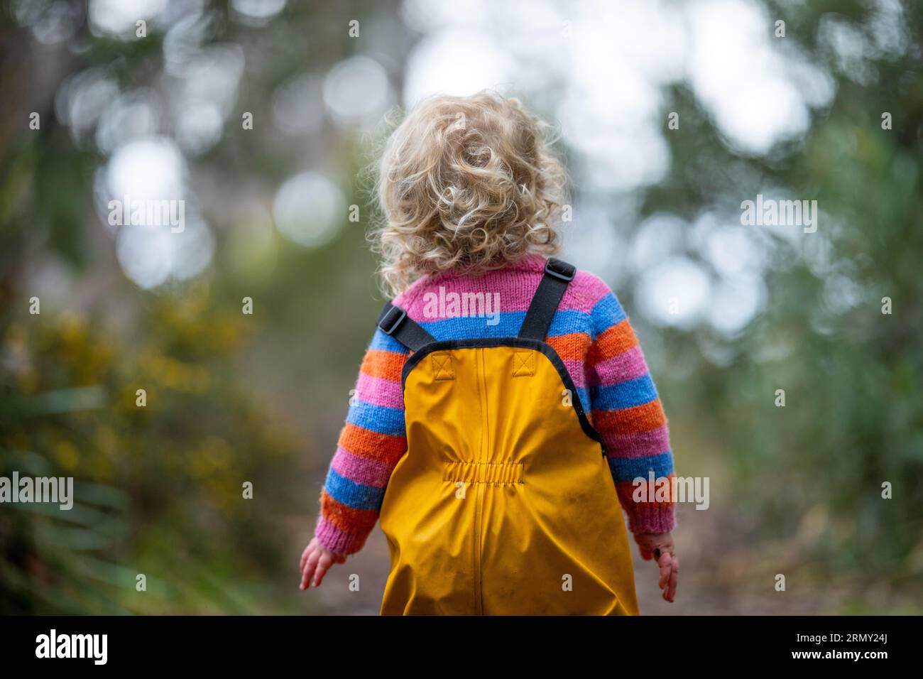 cute toddler in the forest exploring the environment Stock Photo - Alamy