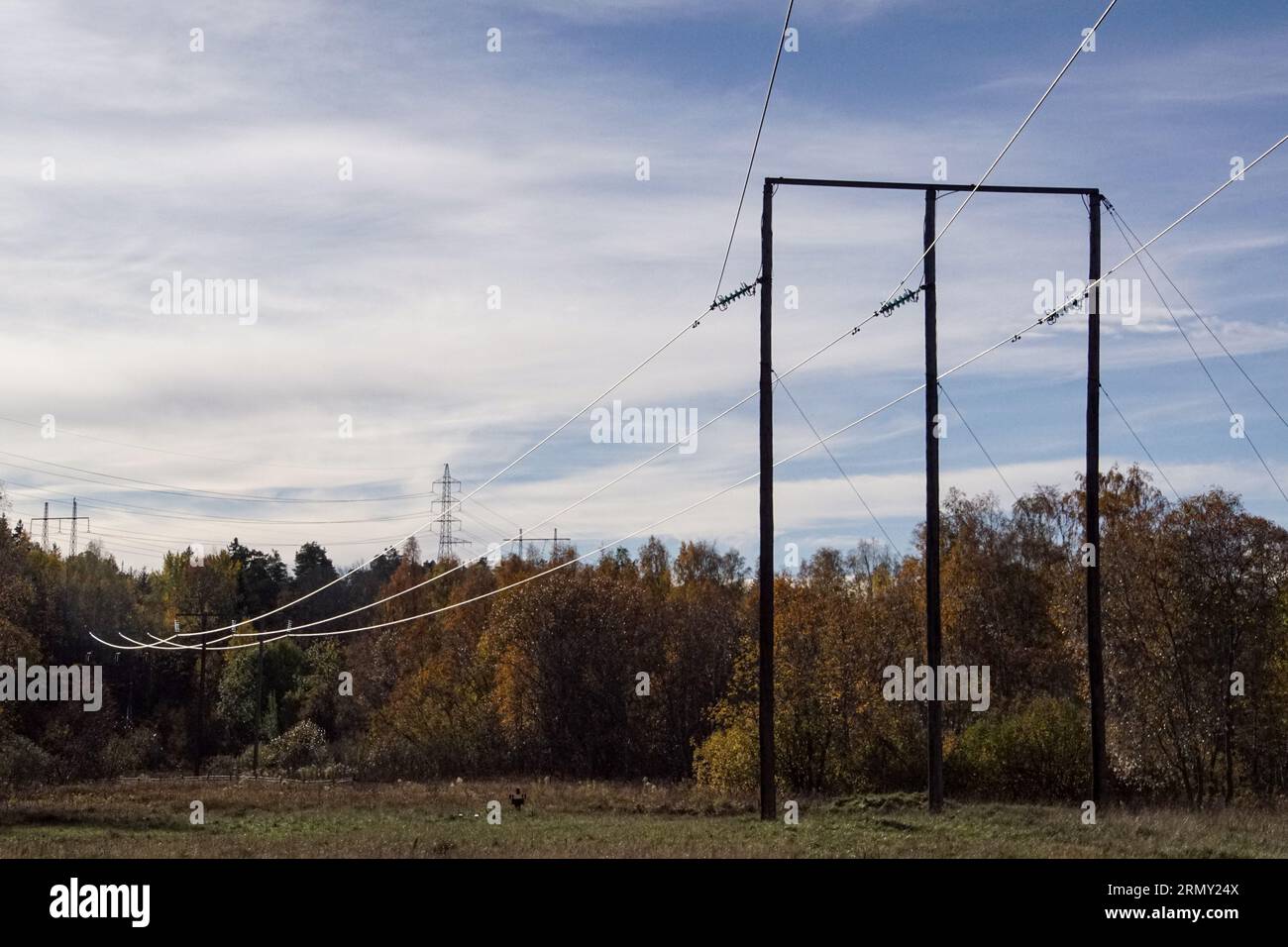 Fencing power poles hi-res stock photography and images - Alamy