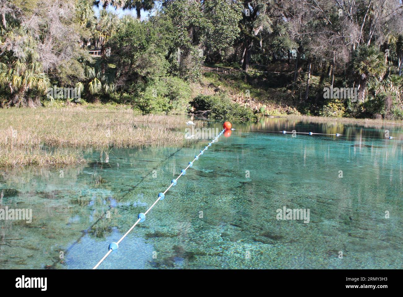 Rainbow Springs: Natural Springs in Florida Stock Photo - Alamy