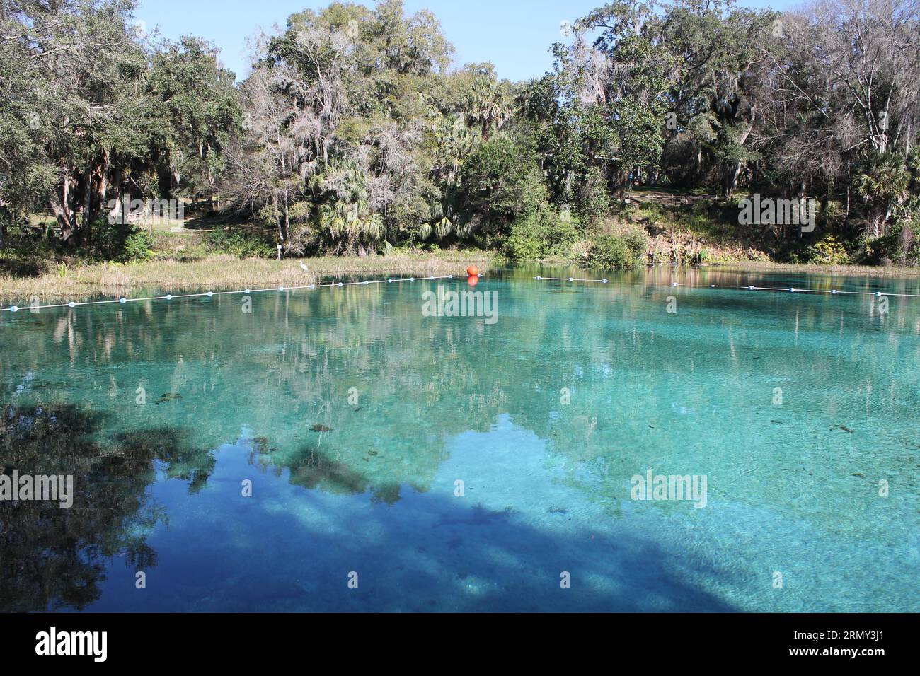 Rainbow Springs: Natural Springs in Florida Stock Photo - Alamy